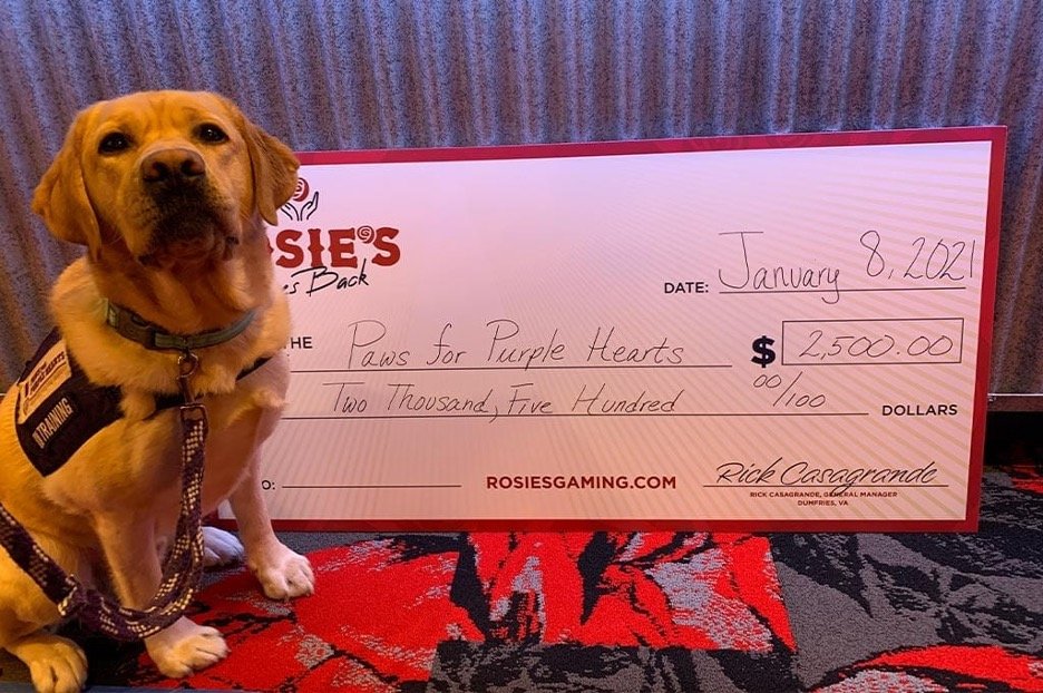 ROSIE’S HELPS TEAM VIRGINIA START 2021 IN STYLE — Paws for Purple Hearts