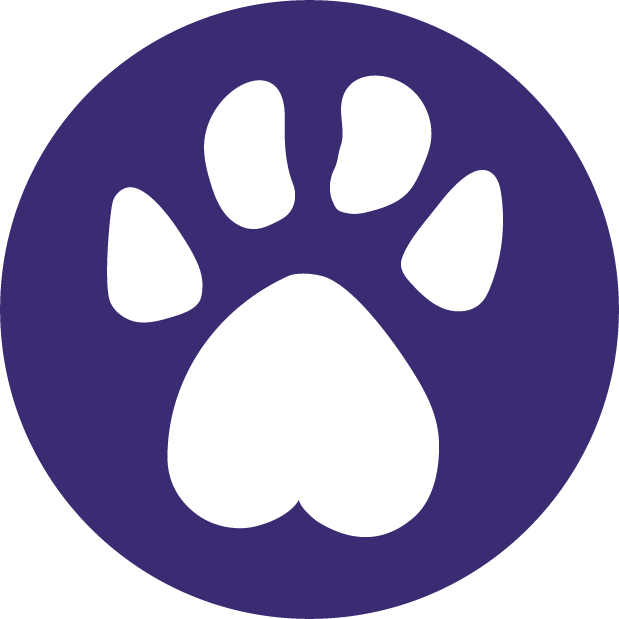 Our Dogs | Discover Your Supportive Companion — Paws for Purple Hearts