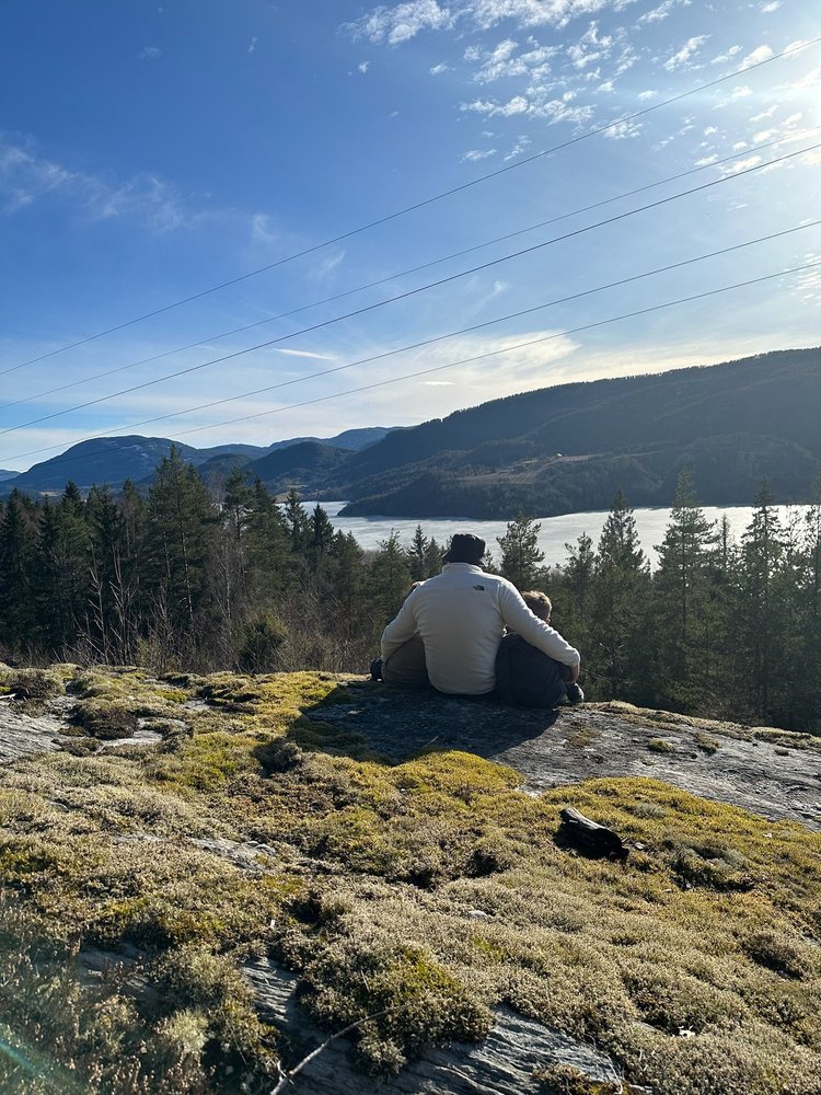 The Oslo to Bergen Loop: A road-trippers guide to navigating Fjords ...