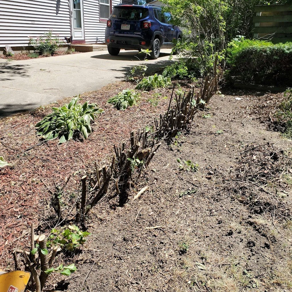 Racine Stump Grind | Tree Stump Removal Made Simple