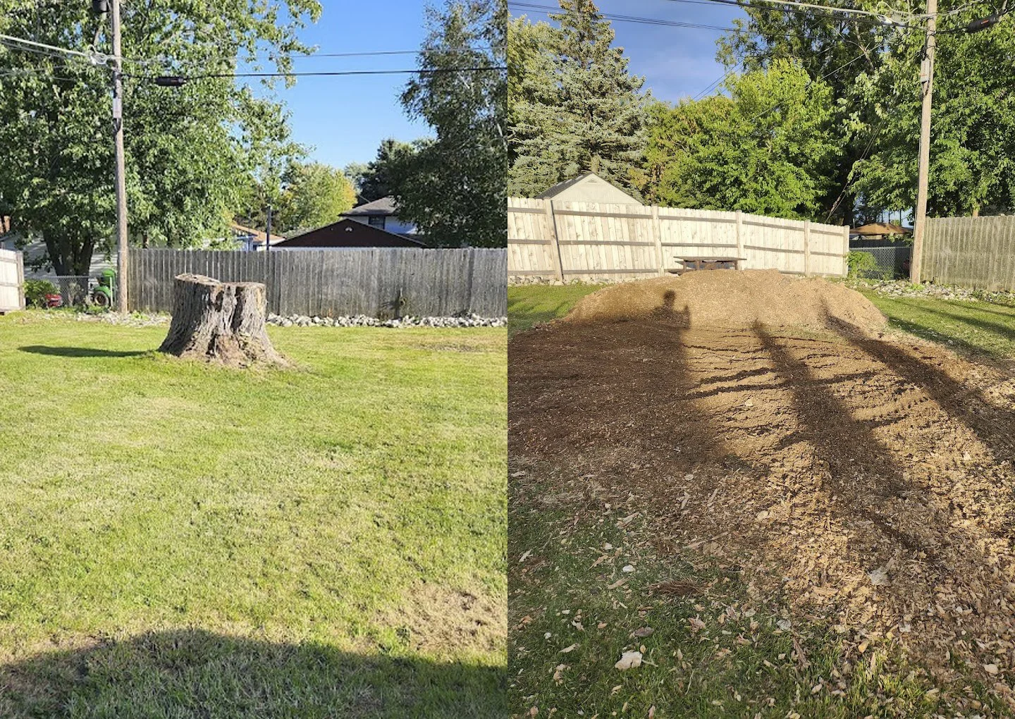 Racine Stump Grind | Tree Stump Removal Made Simple