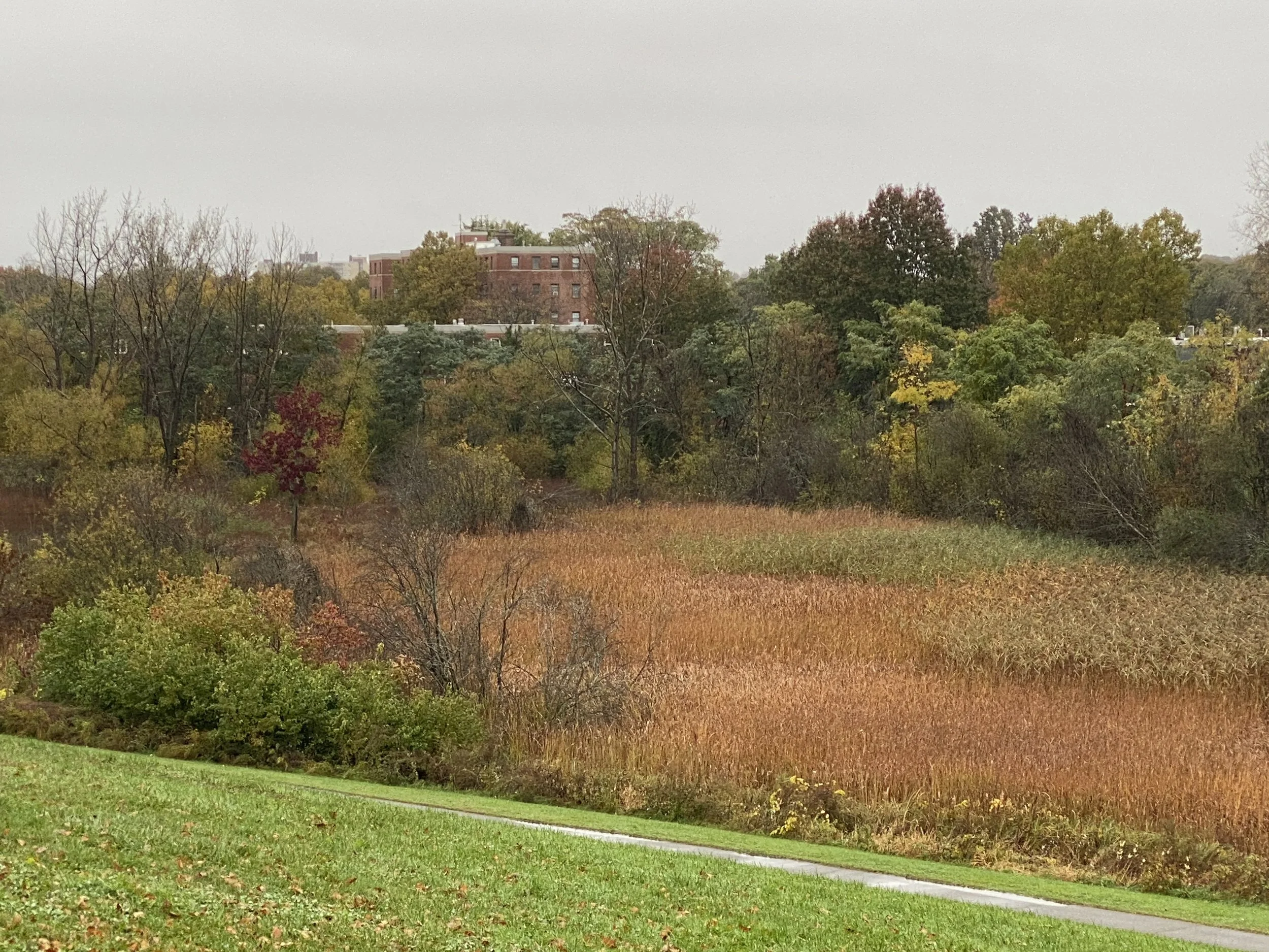 Resources — Native Plant Community Gardeners