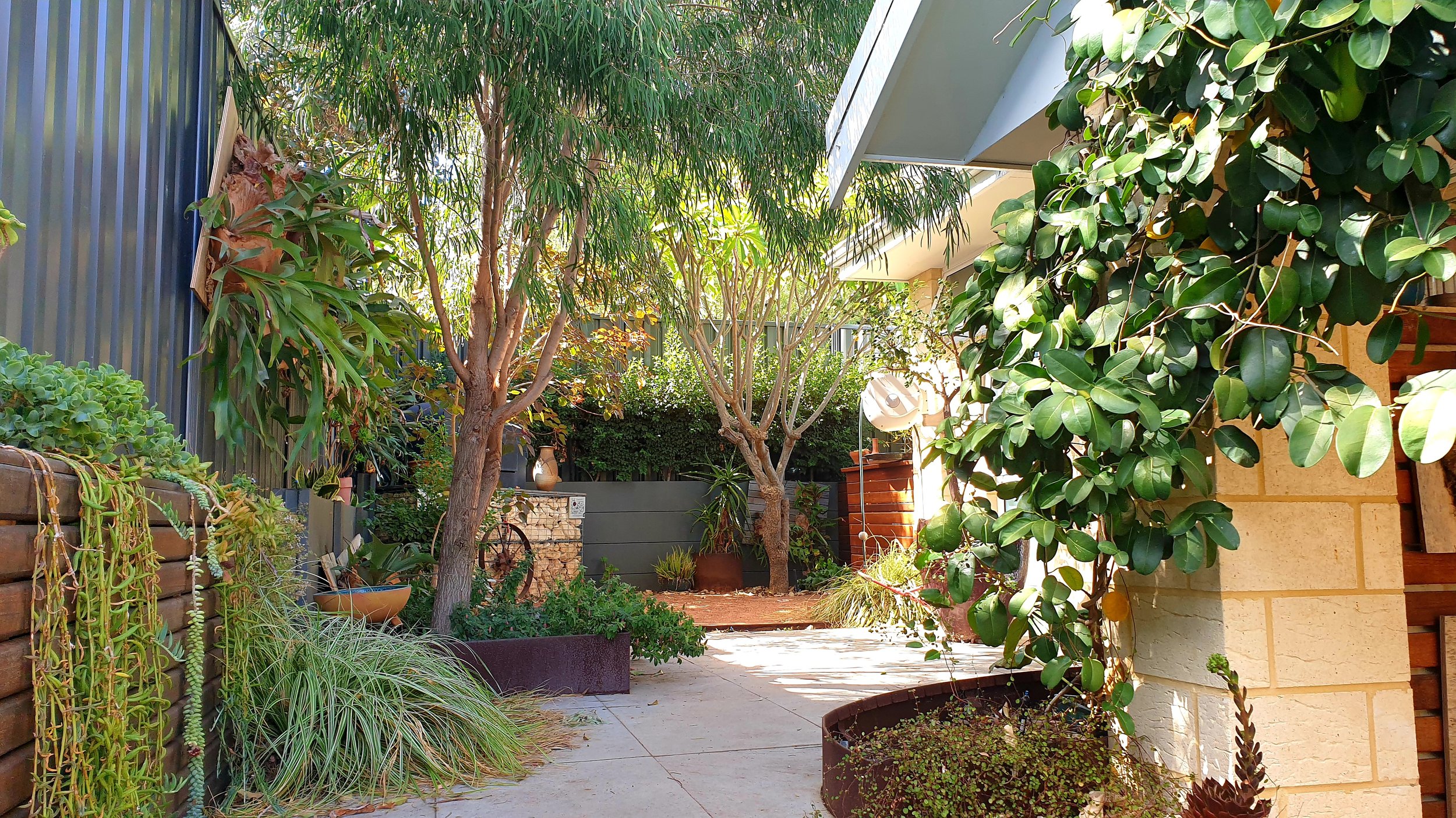 Gallery — Perth Landscaping and Garden Solution