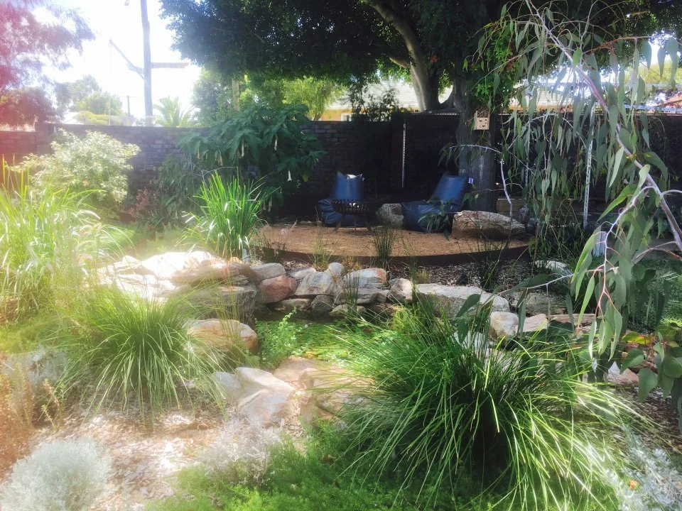 Floreat native garden — Perth Landscaping and Garden Solution
