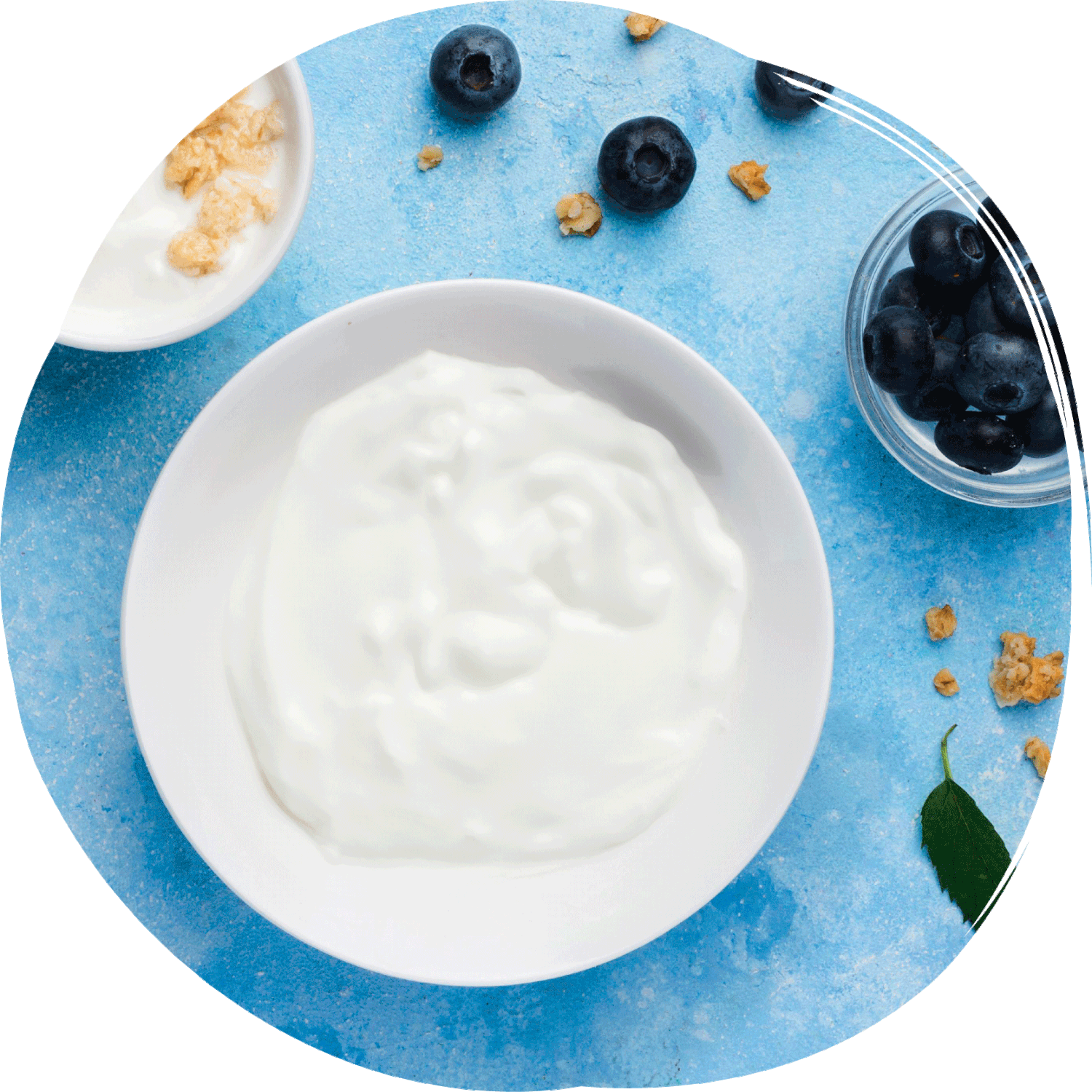 CP-Meiji Greek Style Yogurt