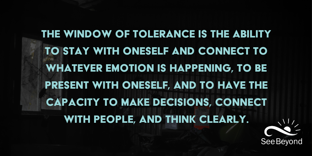 How We Regulate: Moving In and Out of Our Window of Tolerance — See Beyond