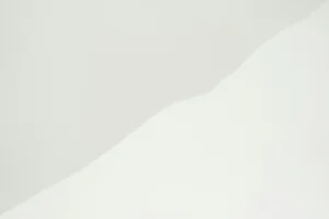 Lewis Support Services