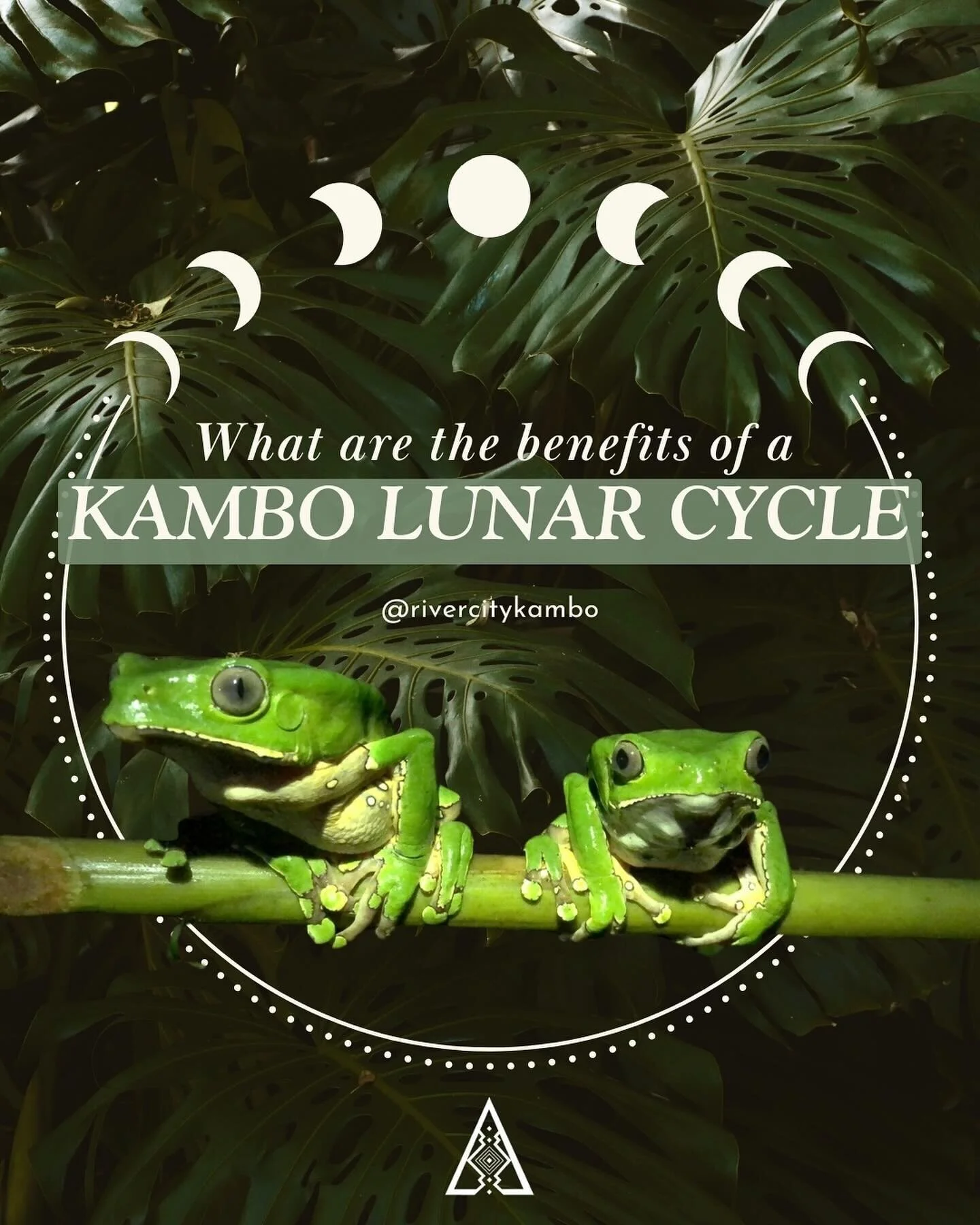 Kambo Practitioner Collective