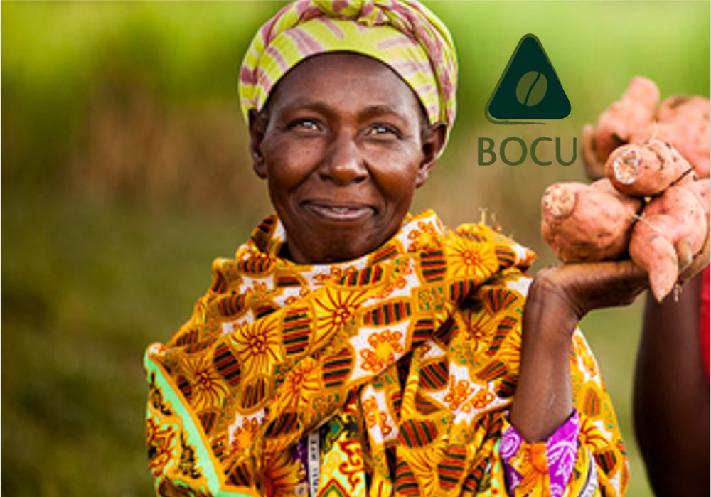 Open Capital | Africa's leading management consulting & financial ...
