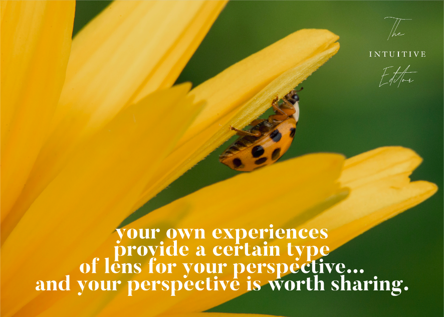Lesson on Perspective From a Ladybug — The Intuitive Editor