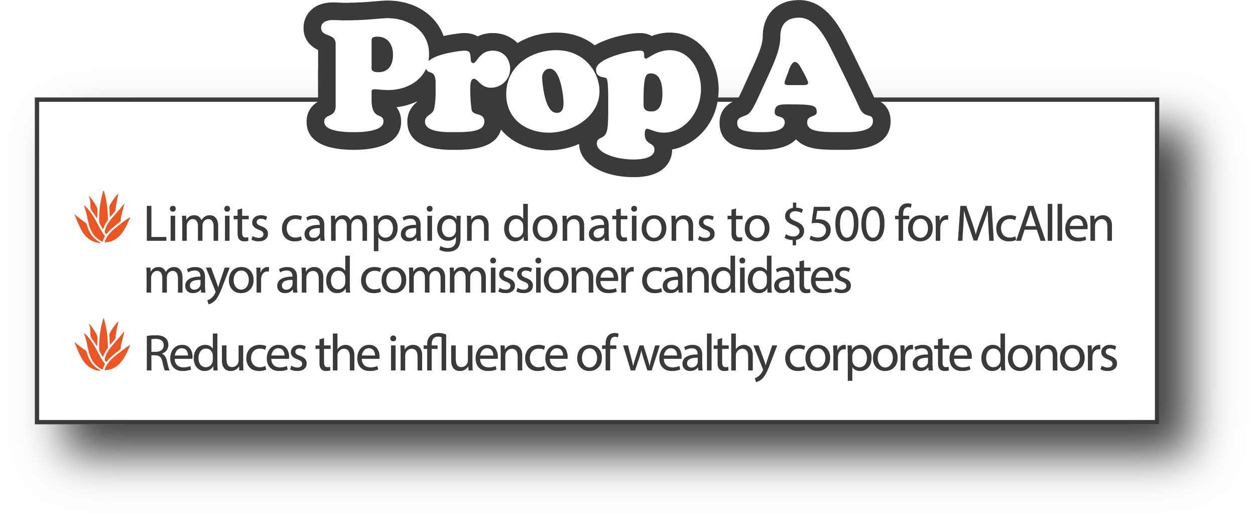 McAllen Anti-Corruption Act — Ground Game Texas