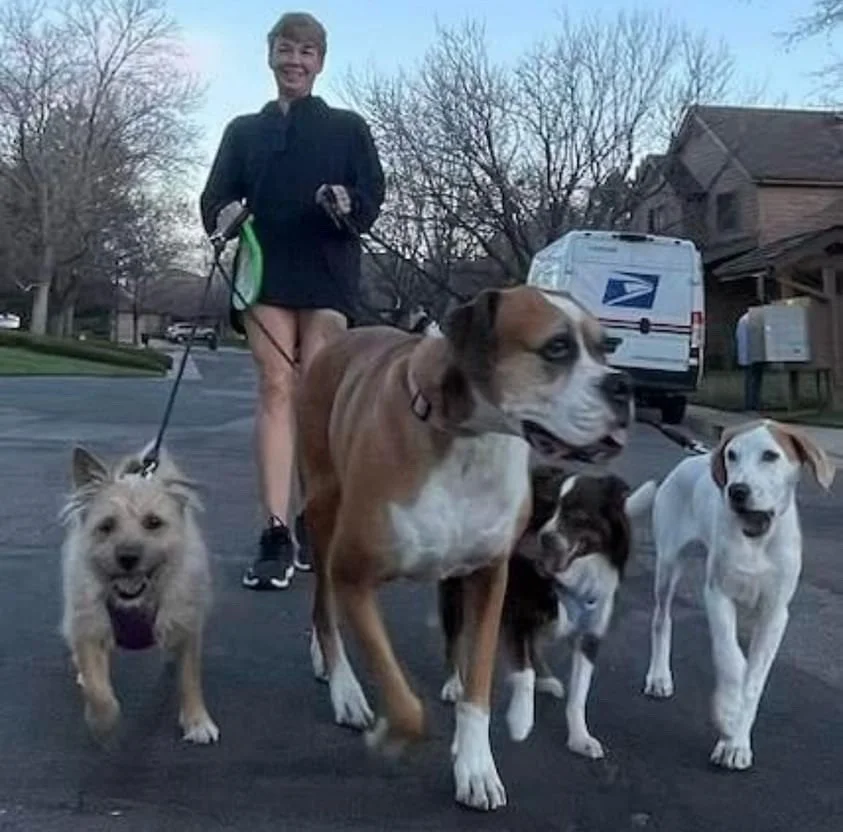 Suzi P Fitness Trainer