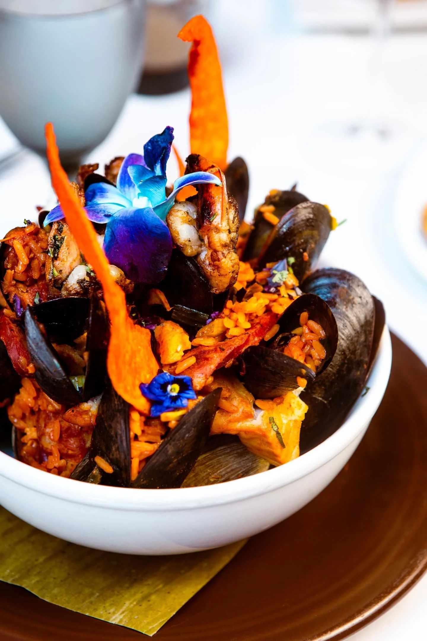 Bocca Latin Fusion | Gourmet Tapas, Cocktails & Dining