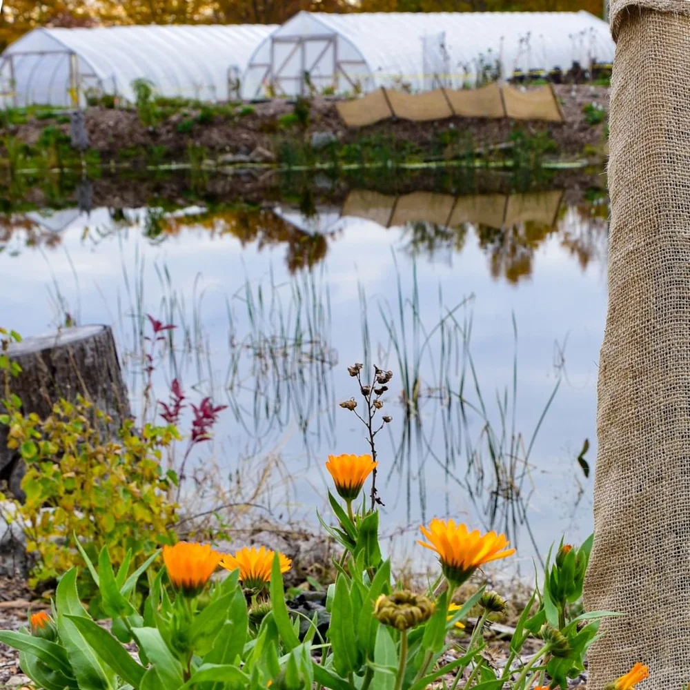 Gateway Farm