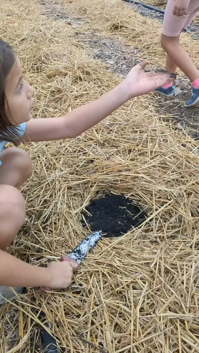 Gateway Farm