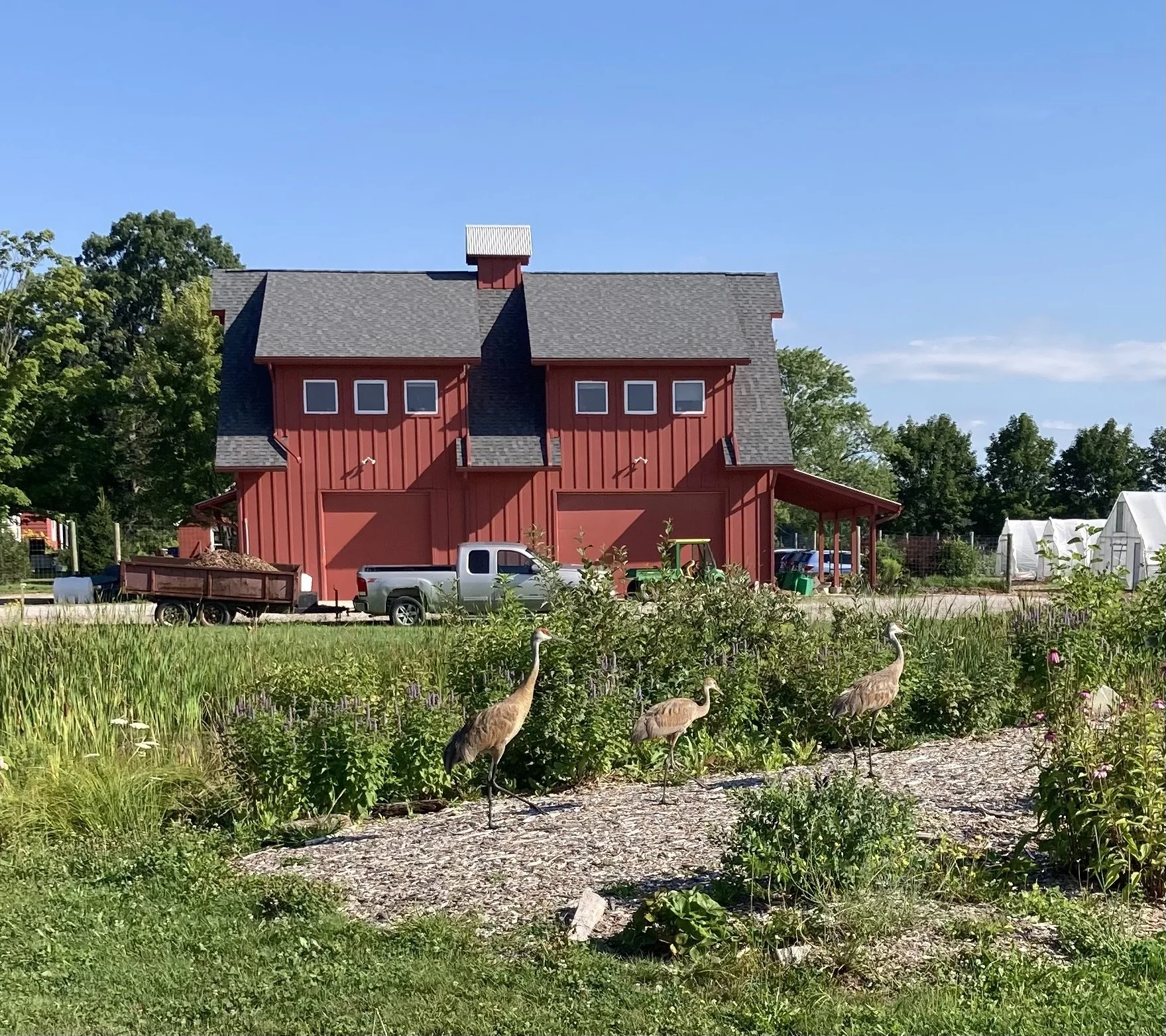 About the Farm | A Permaculture Food Forest — Gateway Farm