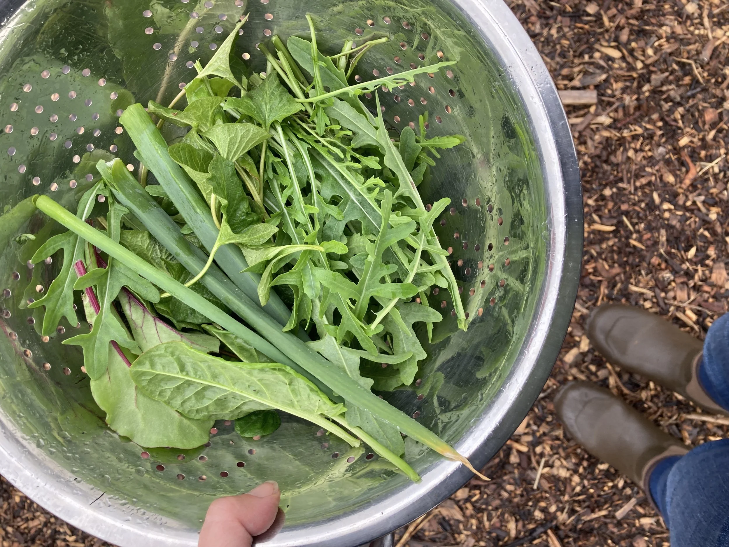 Nutrient-Dense Recipes | Health Family Meals — Gateway Farm