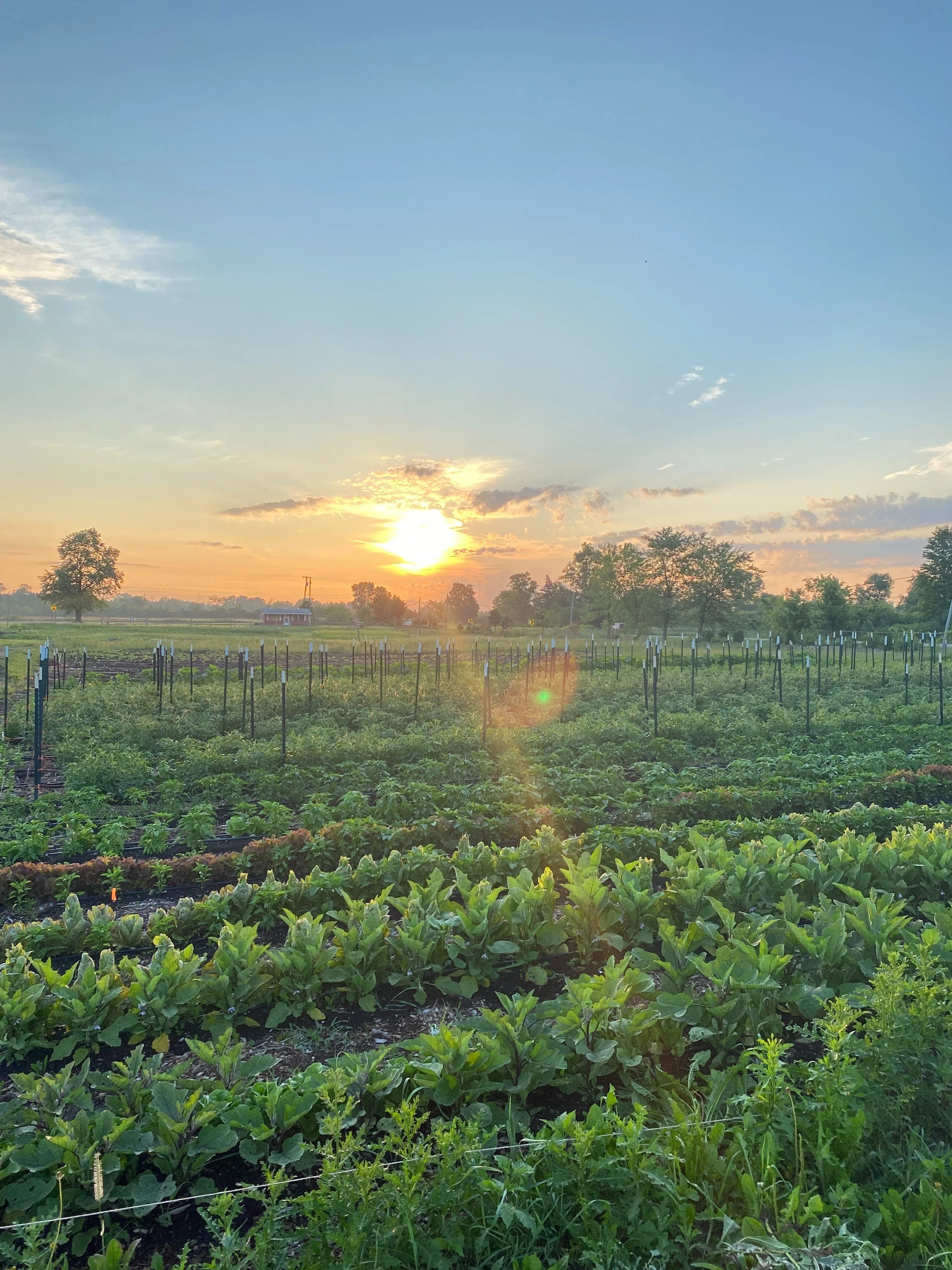 About the Farm | A Permaculture Food Forest — Gateway Farm