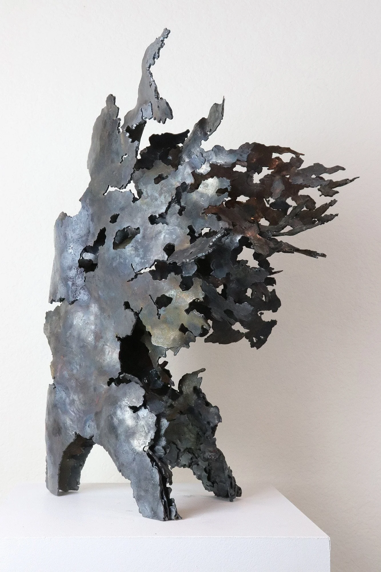 Featured Artists — Siempre Avanti Gallery