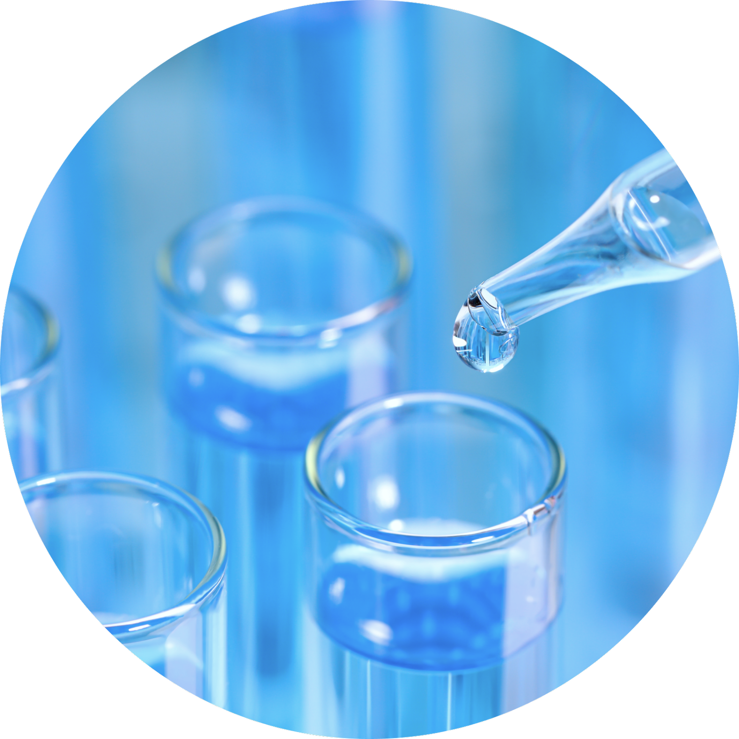 Organic Technology Holdings