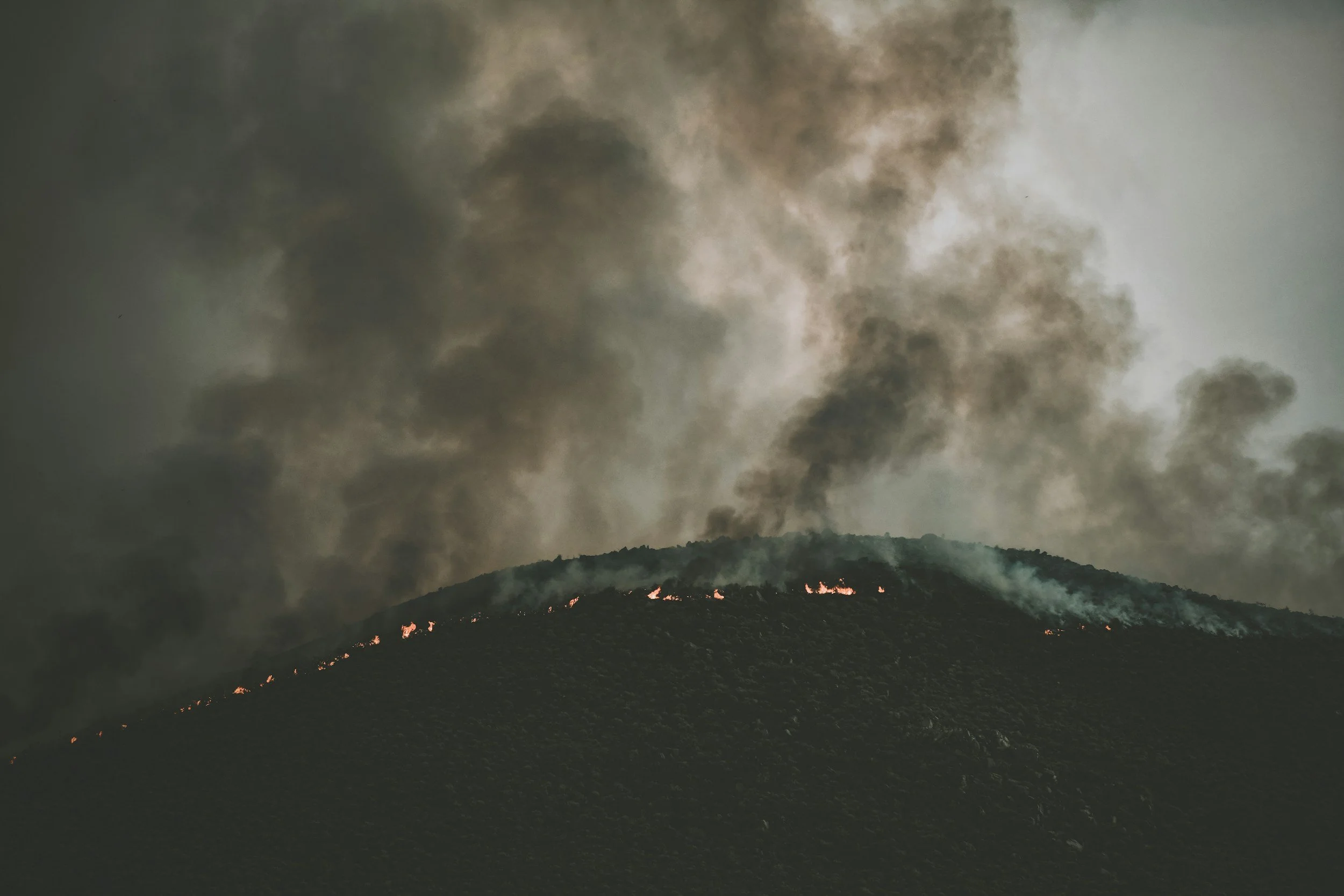 Videos | Explore Wildfire Safety Tips — Hawaii Wildfire Management ...