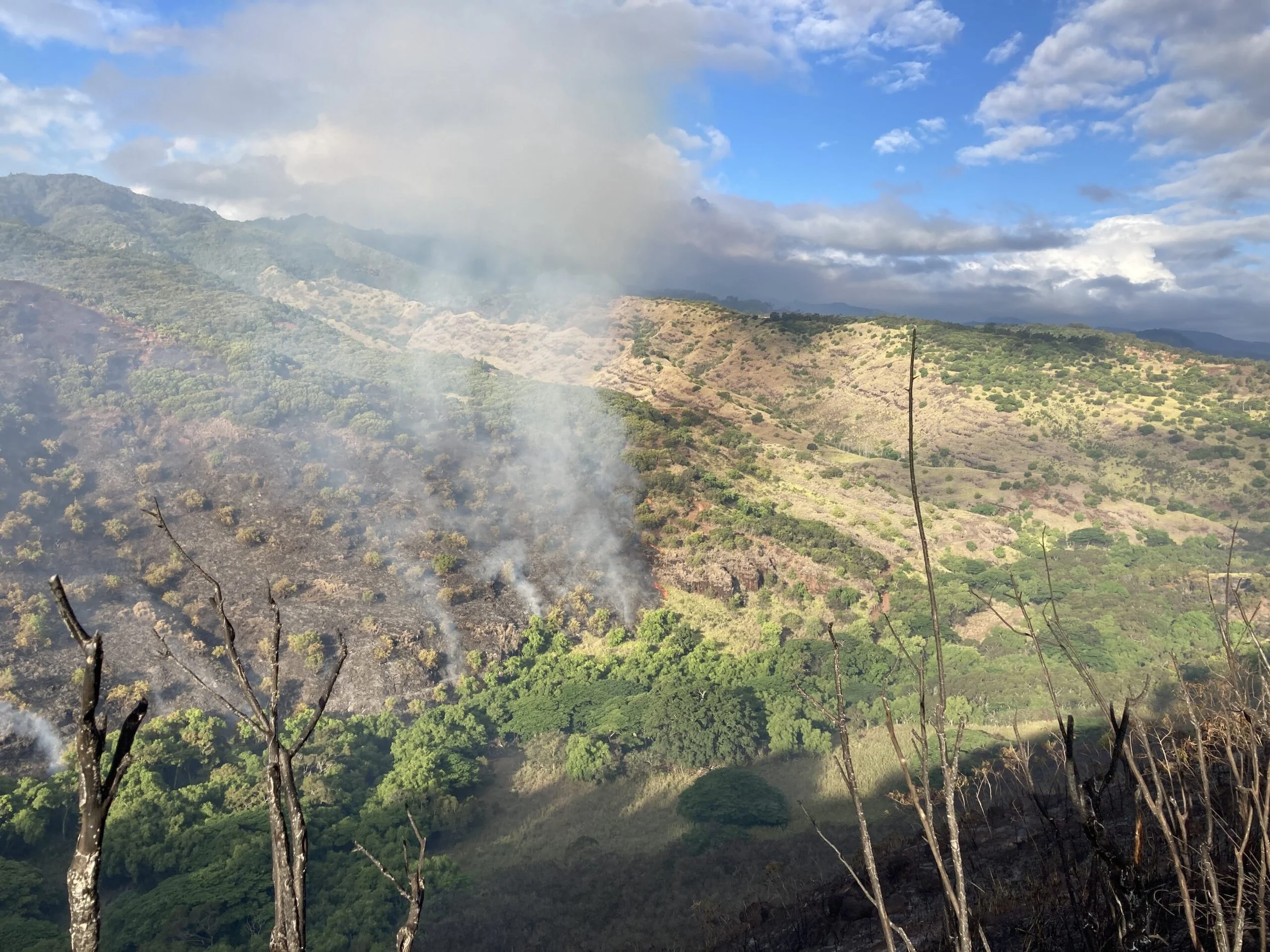 Home Assessments — Hawaii Wildfire Management Organization