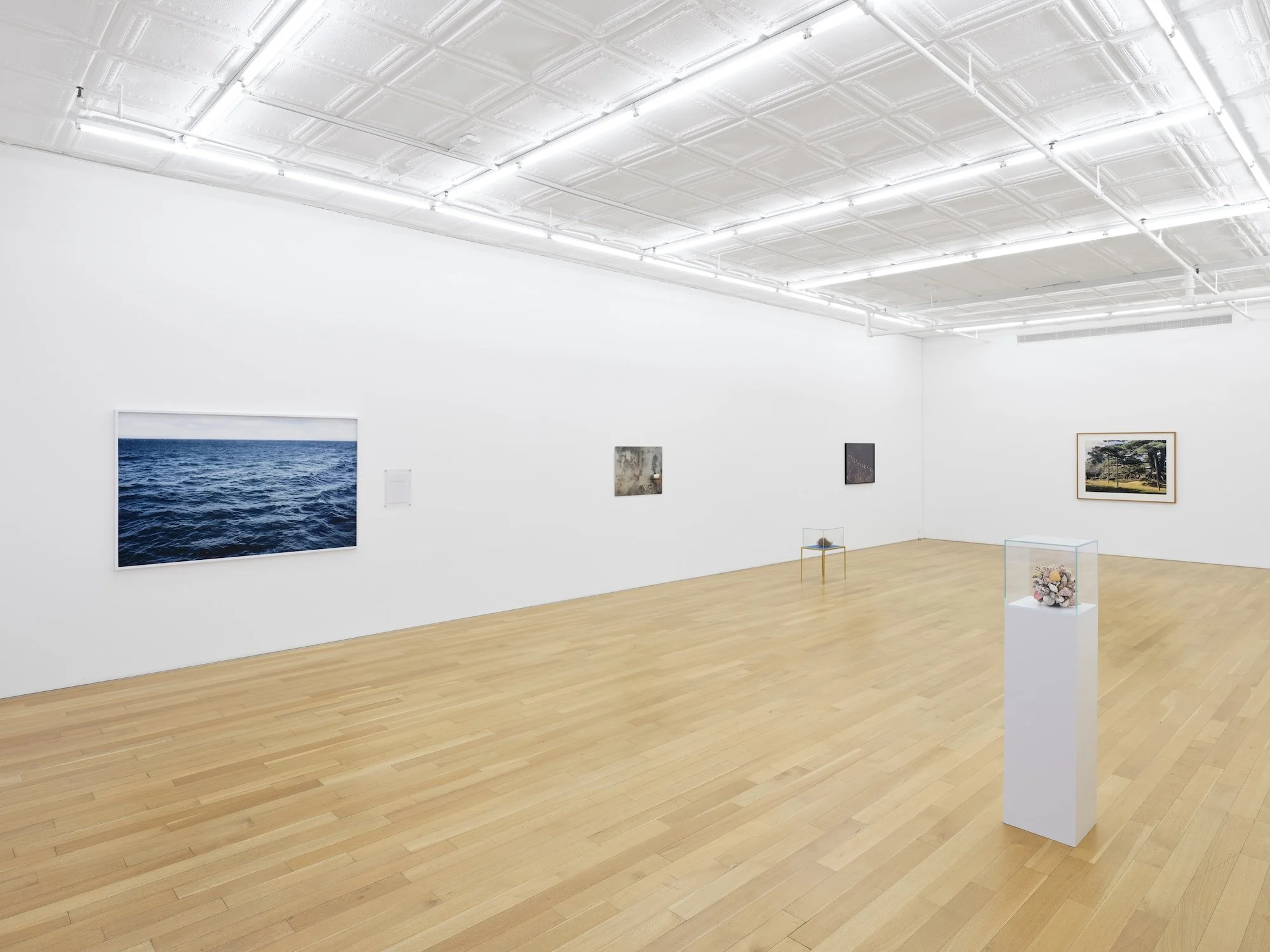 Su-Mei Tse: This Is (Not) a Love Song — IMPULSE Magazine