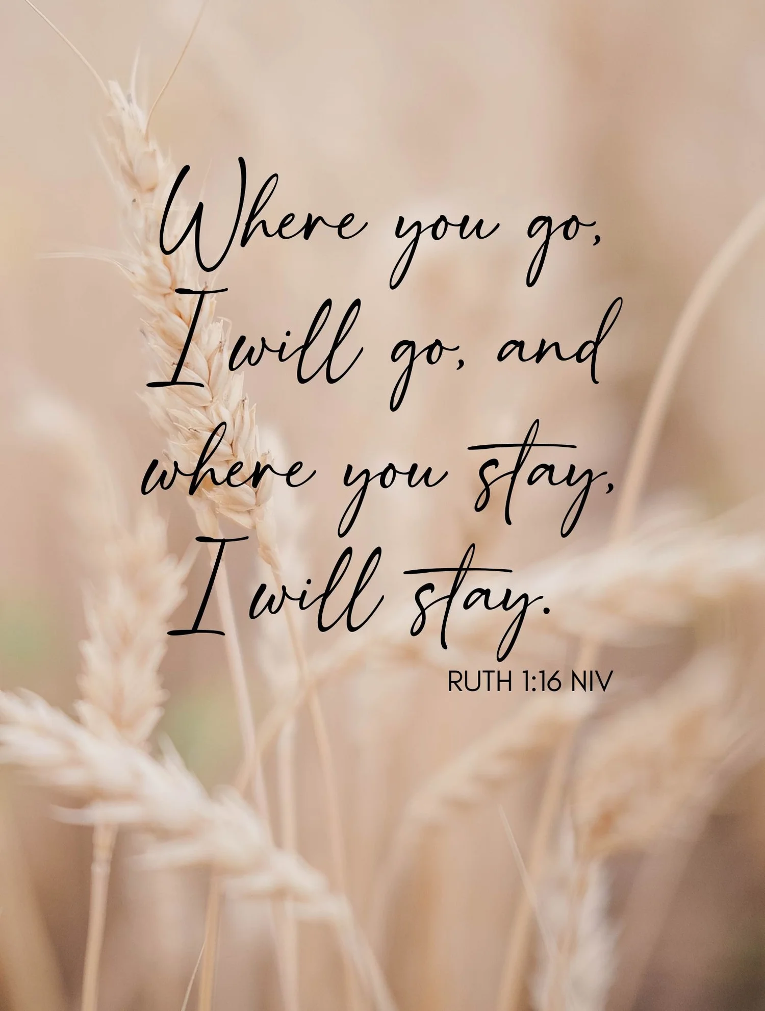 Printables — Little Peace of My Planner