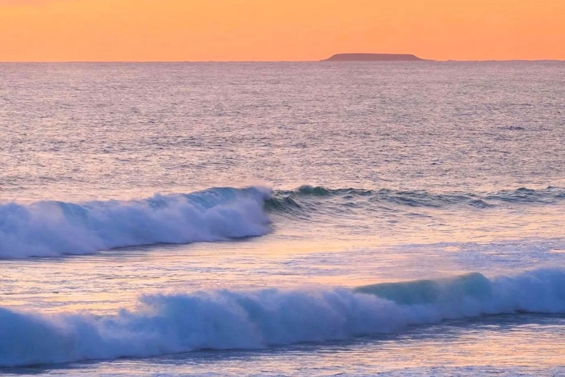 Annie Williams | Author & Speaker