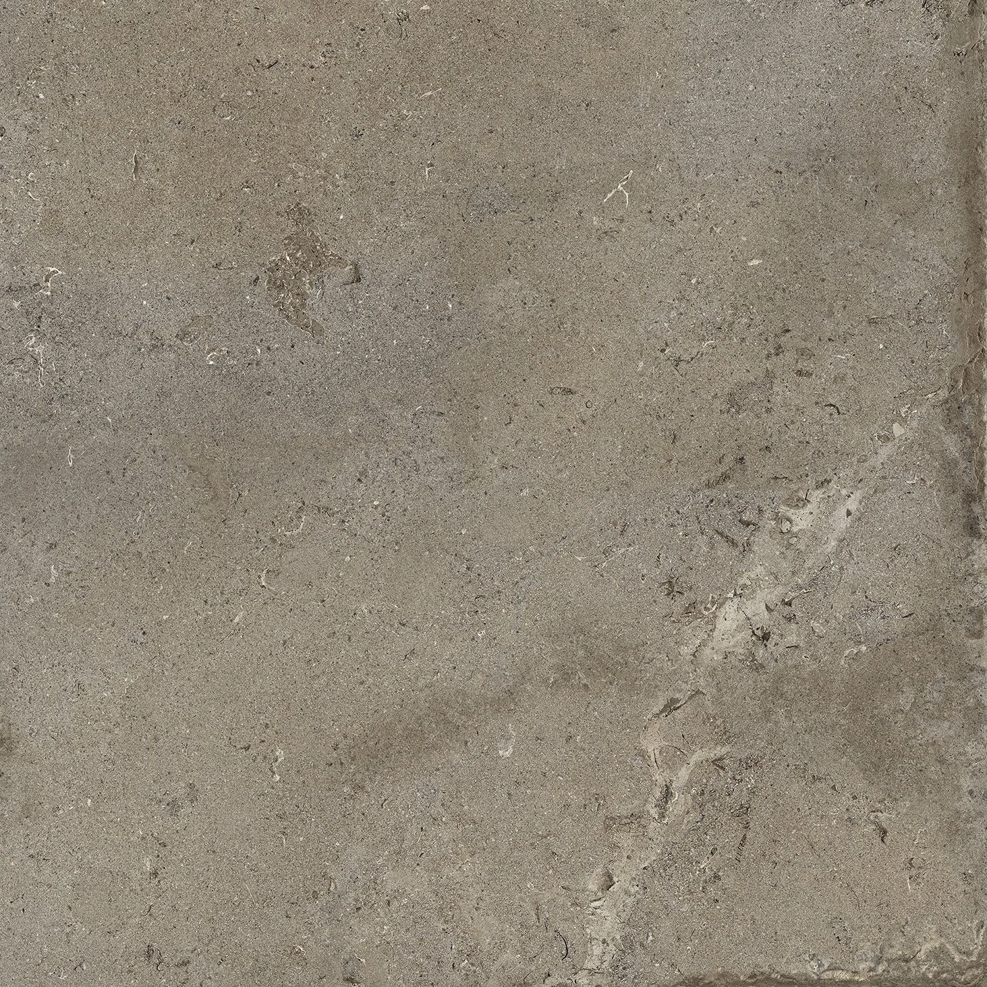 Signature — ascot gruppo ceramiche