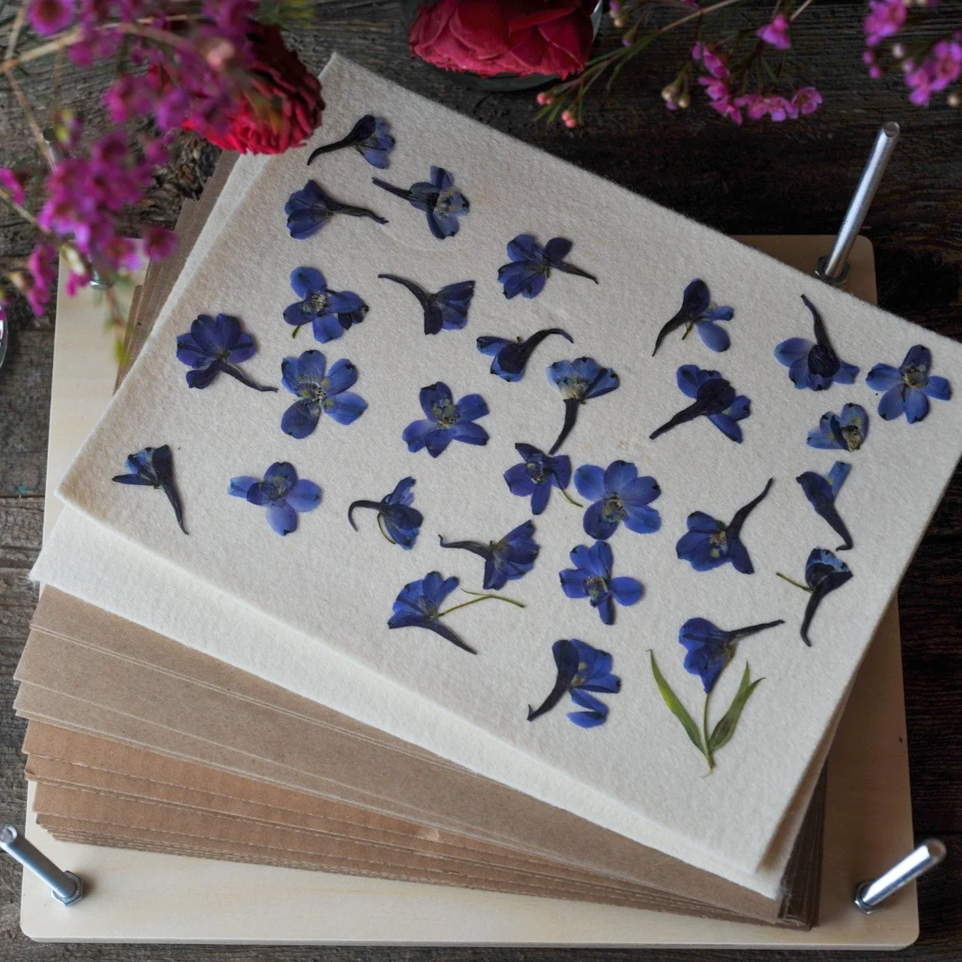 The August Press / flower presses and sustainable floristry