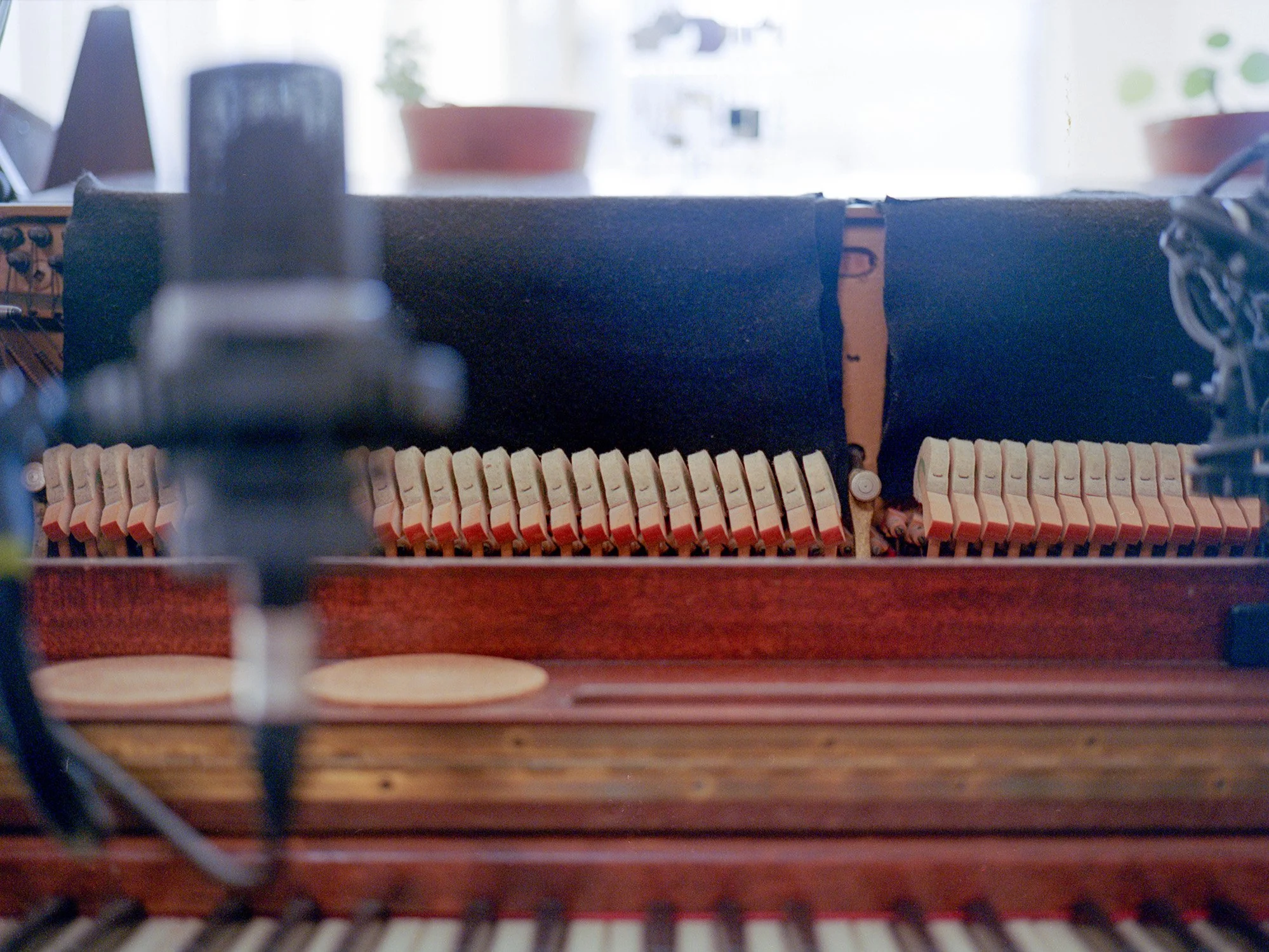 Music — Nathan Shubert