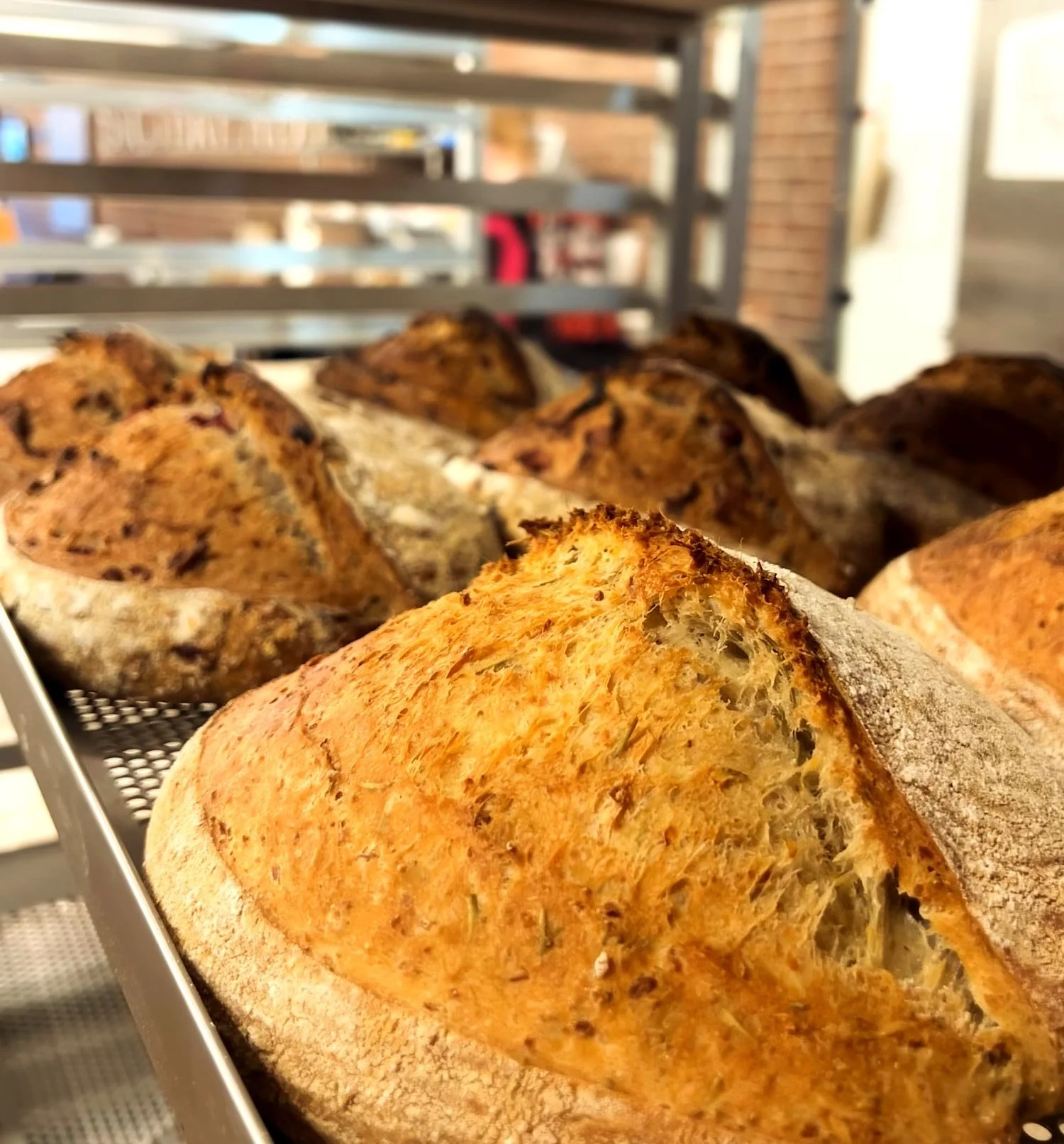 South County Bread Company • Wakefield, Rhode Island