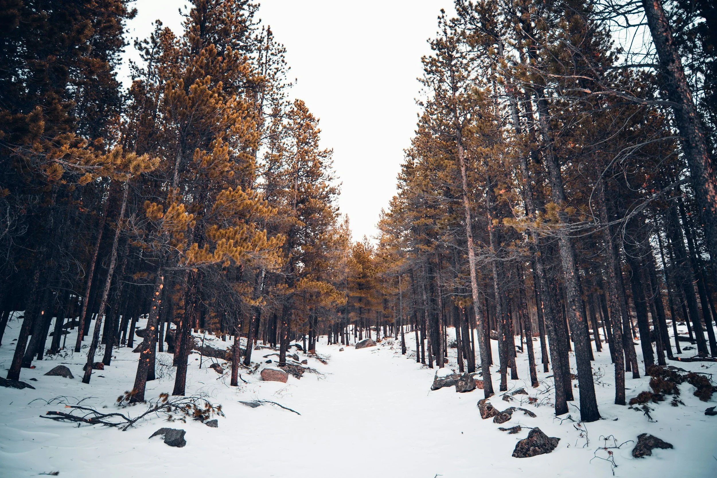 Ministry Retreats | Somethings Gotta Change