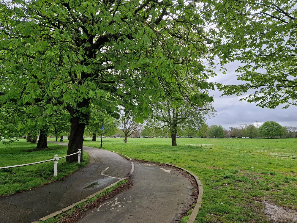 Ealing Common Society