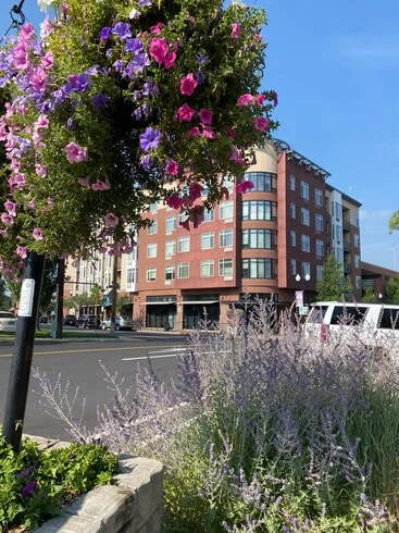 Flower Basket Sponsorships — Downtown Bend Business Association