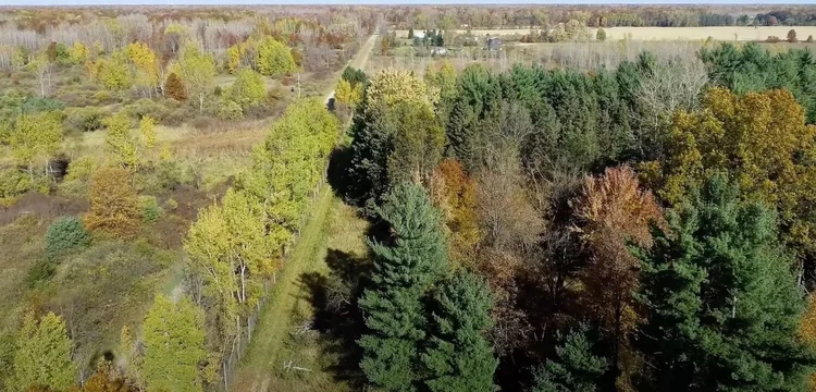 Legendary Whitetail Hunting Experiences — High Rack Ranch