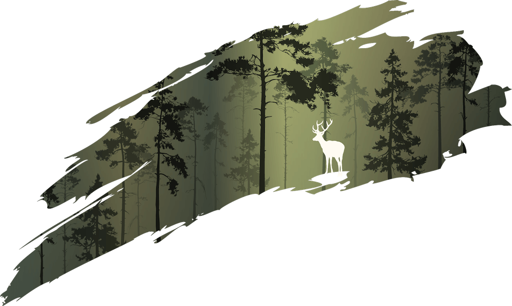 Michigan Trophy Whitetail Hunting Packages — High Rack Ranch
