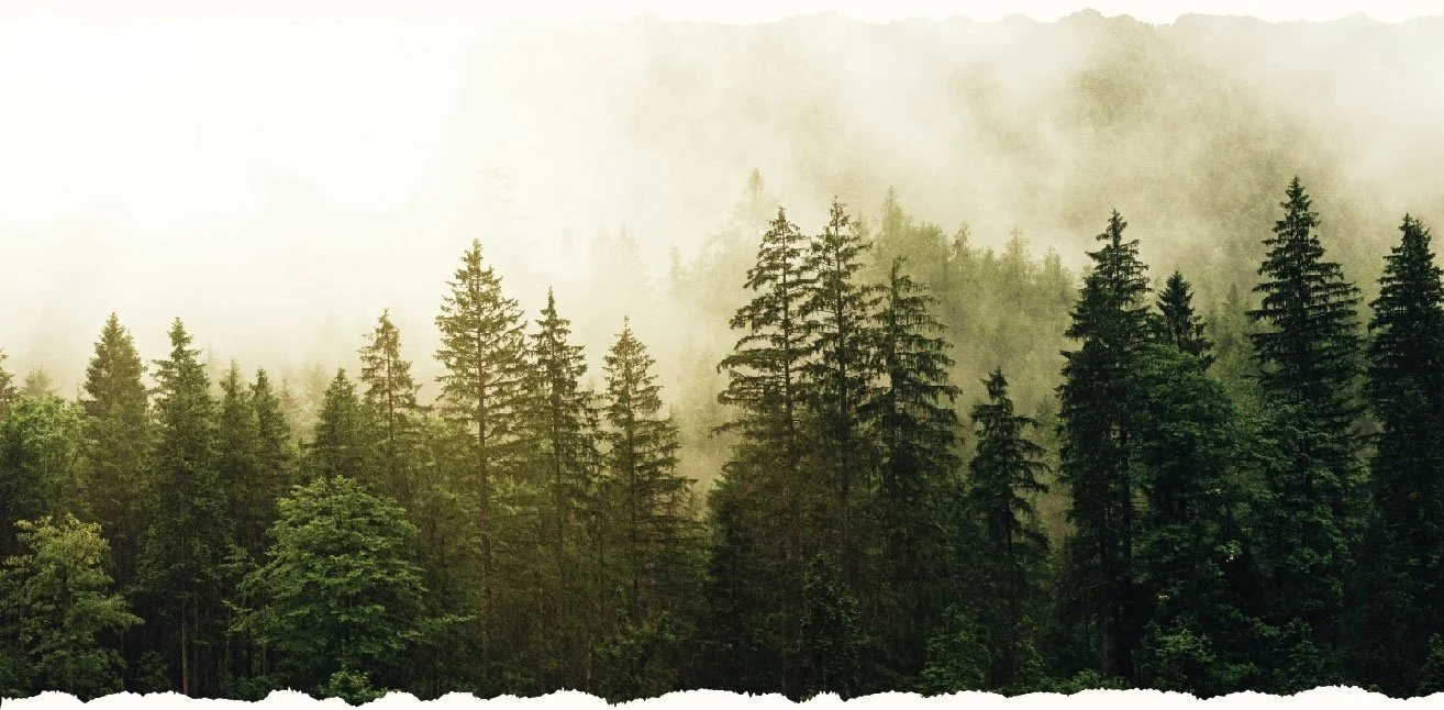 High-Fence Michigan Trophy Whitetail Hunts | High Rack Ranch