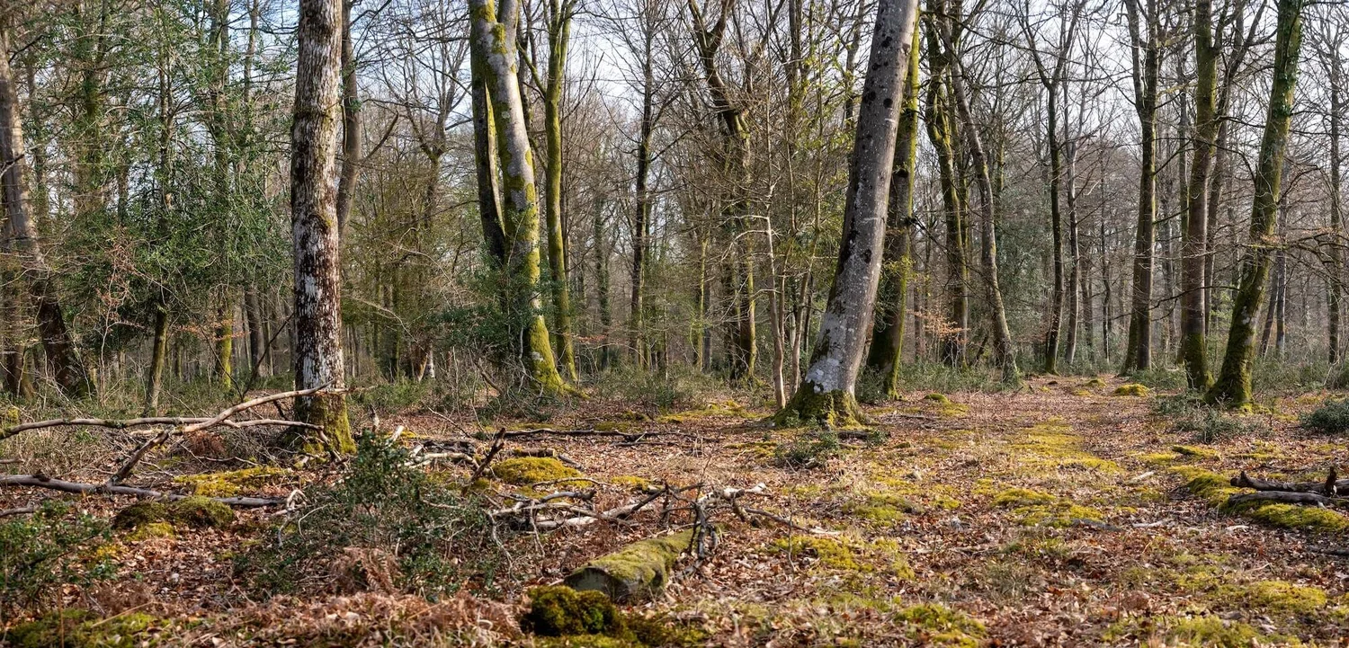 Michigan Trophy Whitetail Hunting Packages — High Rack Ranch