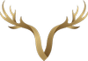 High-Fence Michigan Trophy Whitetail Hunts | High Rack Ranch