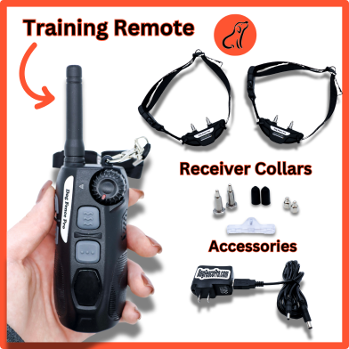 Training Remote System by DOG FENCE PRO® — Dog Fence Gear