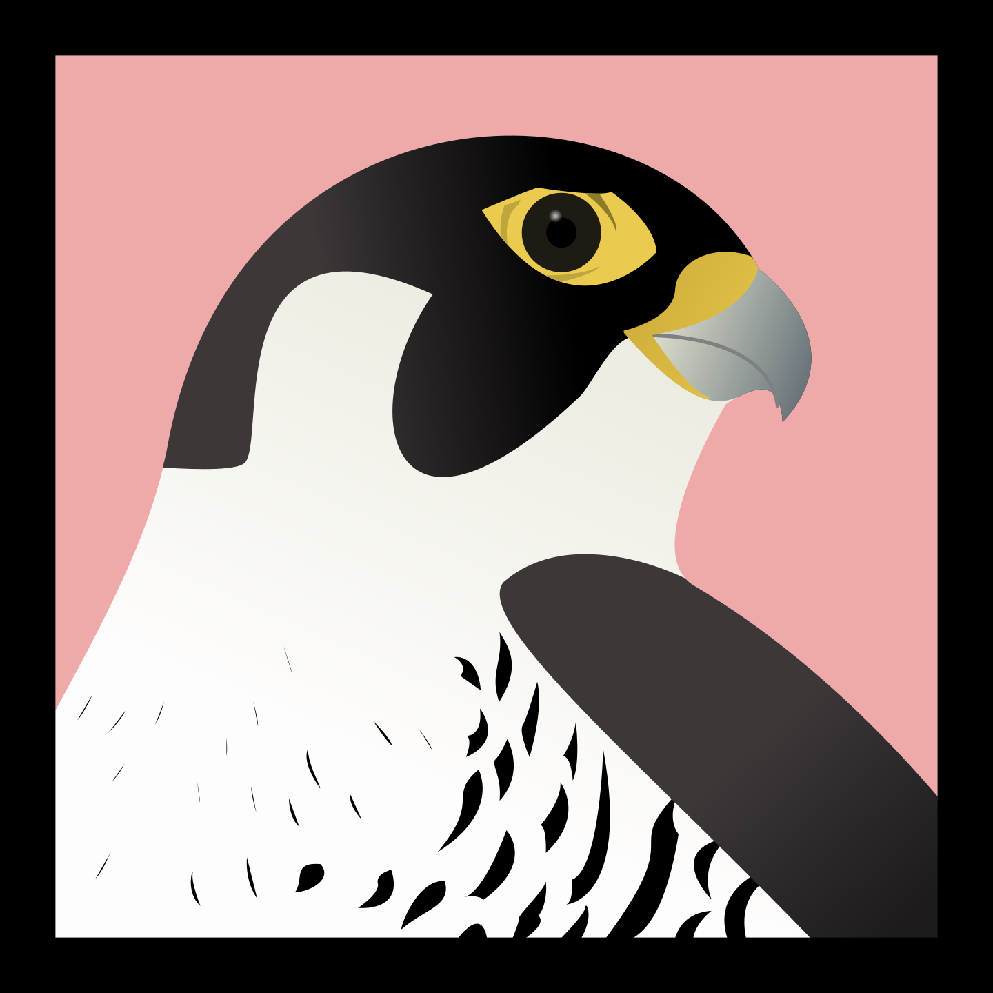 General Info — The Urban Birding Festival