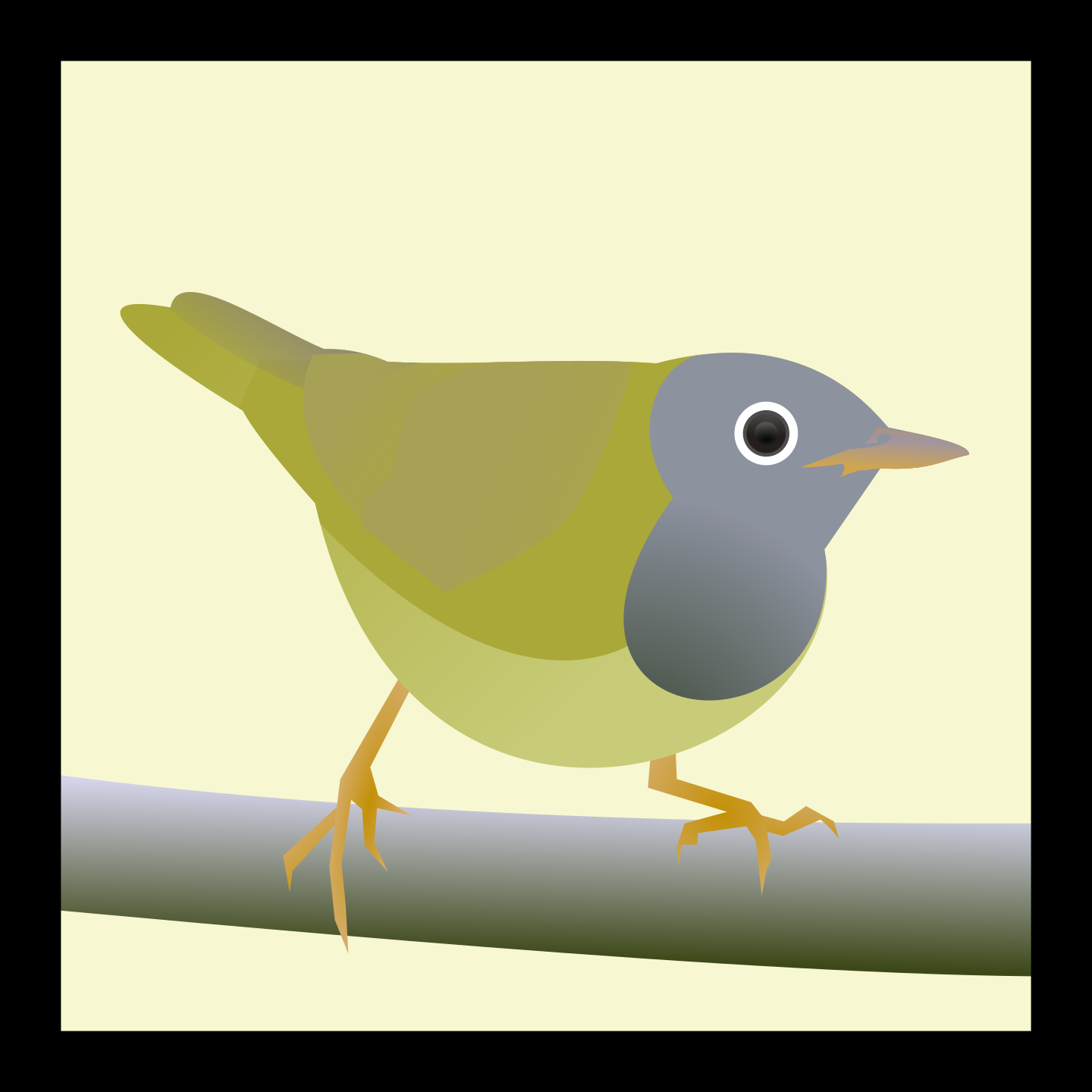 General Info — The Urban Birding Festival