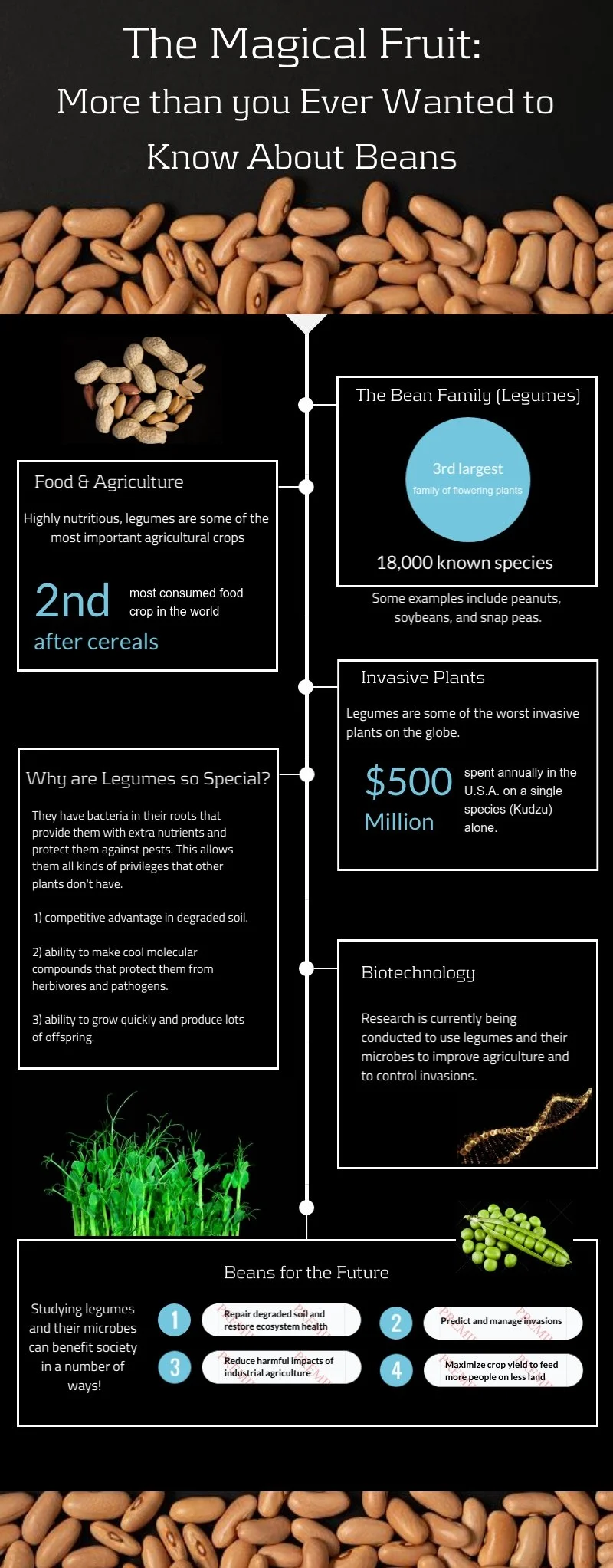 Beans Infographic — Welcome to the Ballhorn Lab