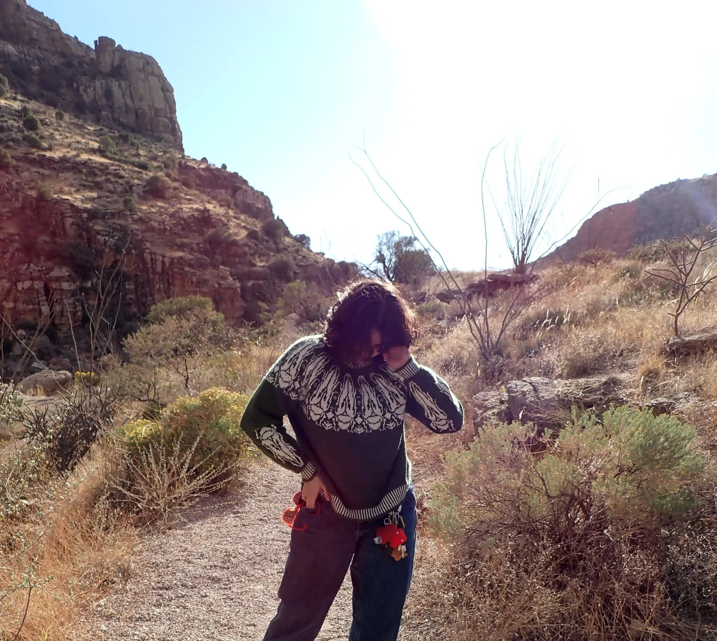 Pattern Testing — The Leafhopper