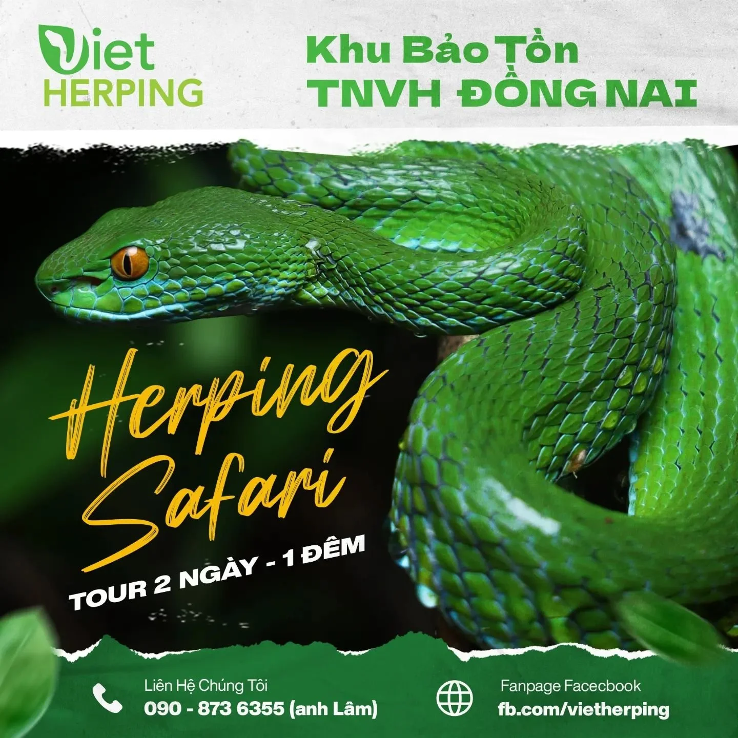 Viet Herping