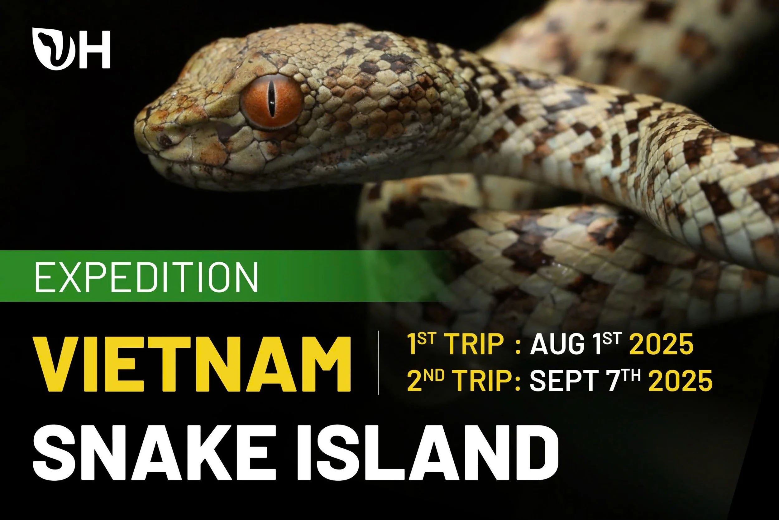 Viet Herping Herping Tours Throughout Vietnam