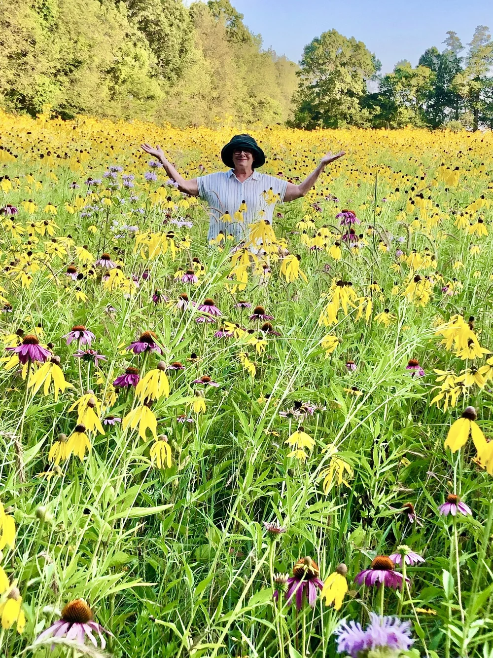 About — Fresh Start Herbs with Susan Betz