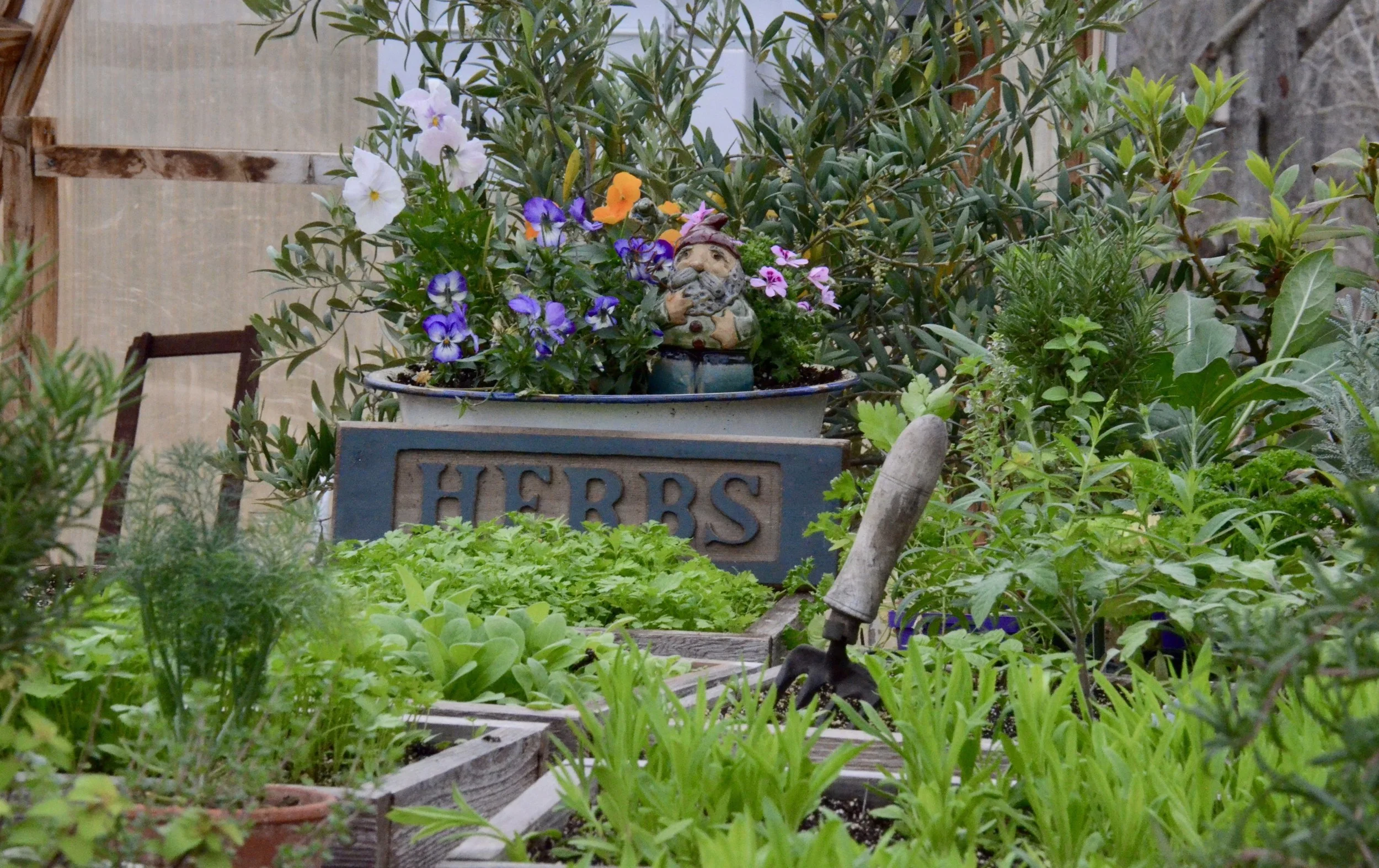 Fresh Start Herbs with Susan Betz
